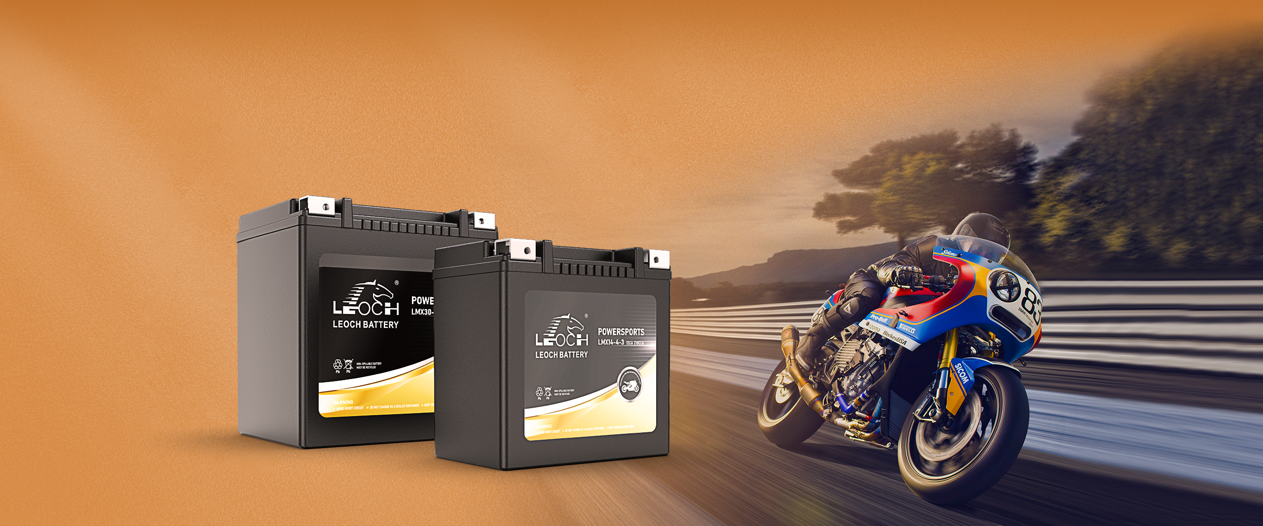 LEOCH - Lead Acid Battery, Lithium Battery, VRLA battery, UPS Battery ...